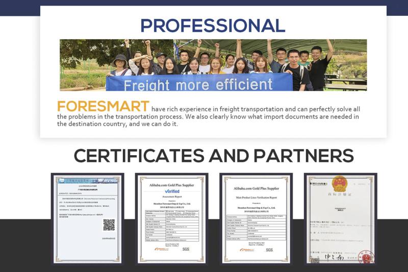 Επαληθευμένος προμηθευτής Κίνας - Shenzhen Foresmart International Forwarding Ltd.