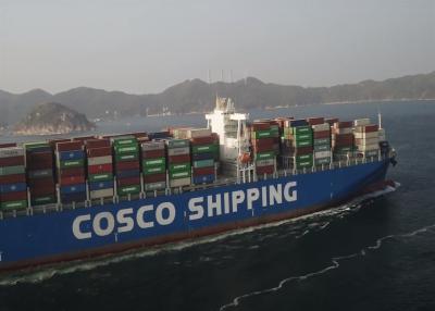 Cina Trasporti di merci Servizio di trasporto marittimo DDP con sdoganamento in vendita