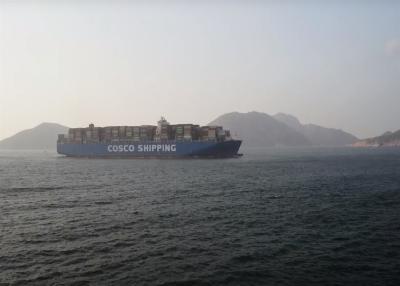 China Veilig internationaal zeevrachtvervoer DDU-goederen van China naar Noorwegen Te koop