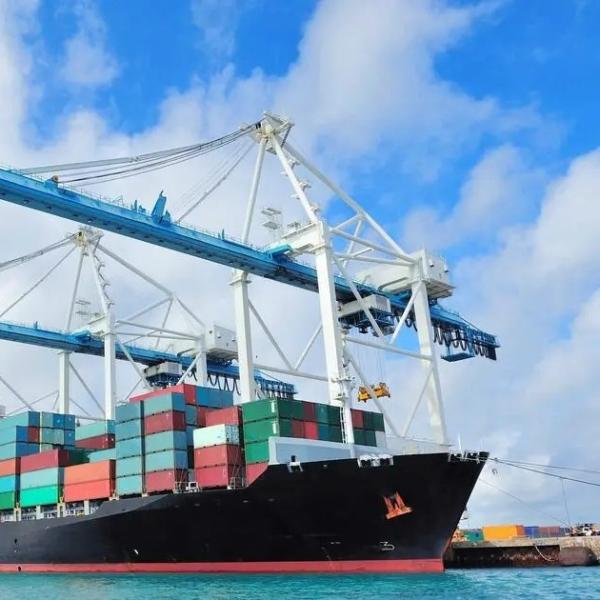 Quality FCL LCL Pick Up DDU Shipping From SHANGHAI SHENZHENG NINGBO QINGDAO LIANYUNGANG for sale