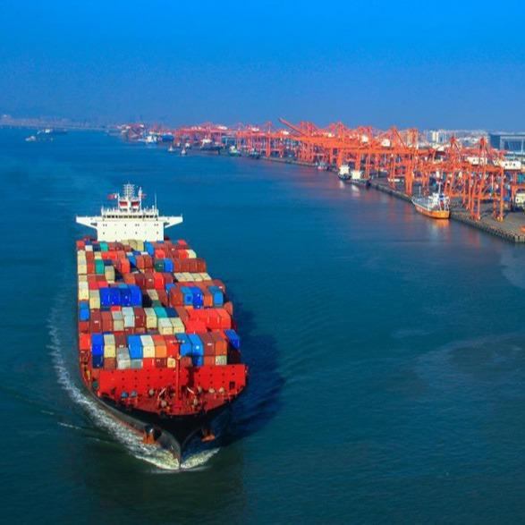 Quality Customs Clearence DDU Shipping Service Door To Door Sea Freight Forwarder for sale