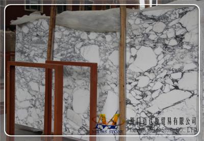 China Italia White Marble Slabs/ Arabeseato Carrara Marble Slabs/ Calacatta Slabs for sale