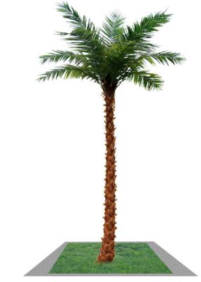 China Artificial/simulation palm trees for sale