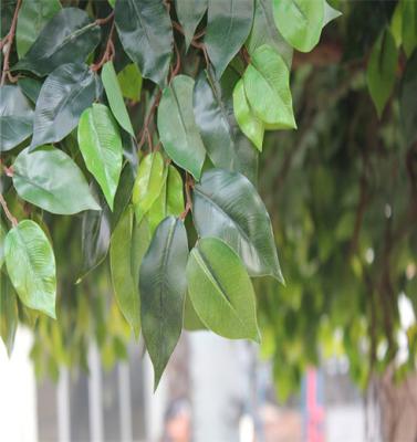 China hot sale plastic  banyan tree, artificial banyan tree for sale