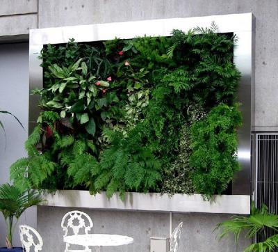China Artificial green wall for sale