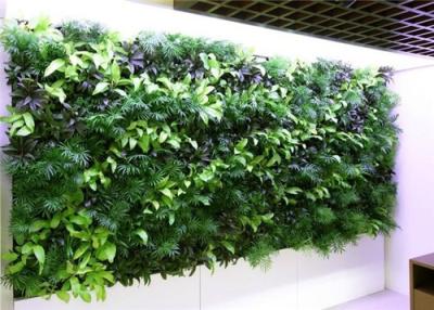 China Artificial green wall plants art plants wall plastic for sale