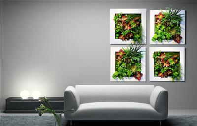 China HOT SALE Indoor Walls decoration Artificial Plant Wall building landscaping green wall dec for sale