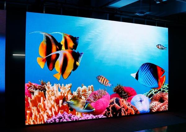 P3.91 Stage LED Screens