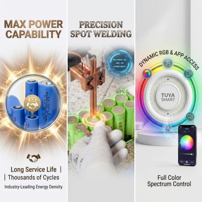 China Voice Control Smart Luminaires WiFi LED Ceiling Light RGB App Modern Round 18W for sale