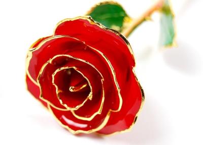 China Red Manual Gold Dipped Rose Valentine's Day gift flower love Length 30cm * 6cm for sale