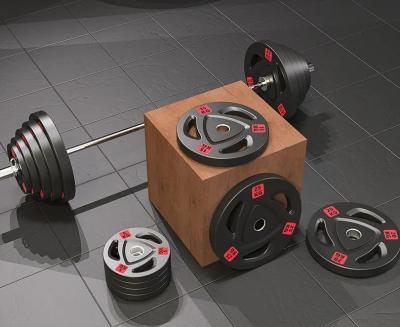 China Cast Iron 5kg Weights Plates 11 LB Olympic Weightlifting Plates for sale