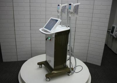 China Made in China,4 semi conductor cooling handle,high sucking pressure,long operating time.Cryolipolysis Slimming Machine for sale