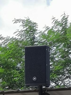China Stainless steel screw IP66 certificate professional Outdoor all-weather waterproof passive 8/10/12''speaker for sale