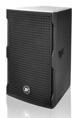 China Professional full frequency passive 10 inch speaker for meeting room for sale
