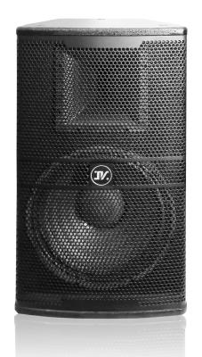 China Professional full frequency passive 12 inch speaker for School, conference room, office area, etc. for sale