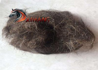 Cina Capelli di cavallo ricci al 100% marroni con comfort e benefici per la salute in vendita