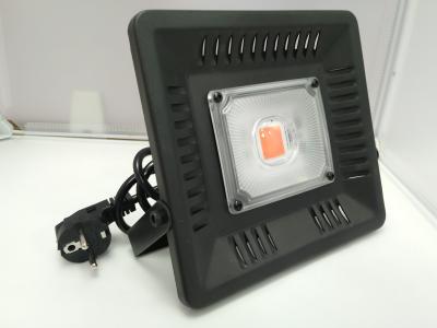 China 50W LED grow light COB,full spectrum to help plants growth, water proof LED for sale