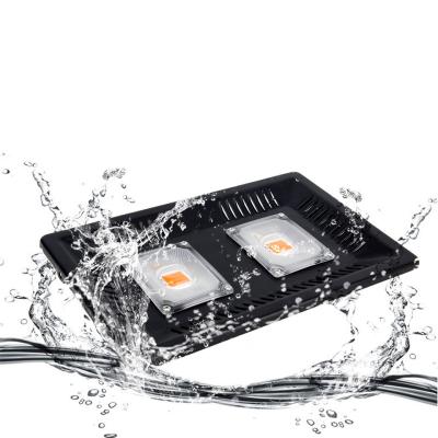China 100W LED grow light COB,full spectrum to help plants growth, water proof LED for sale