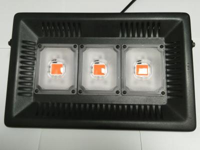 China 150W LED grow light COB,full spectrum to help plants growth, water proof LED for sale