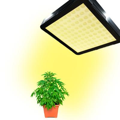 China 2019 new model SMD 1000w led horticulture grow lights full spectrum led plant light for indoor growing for sale