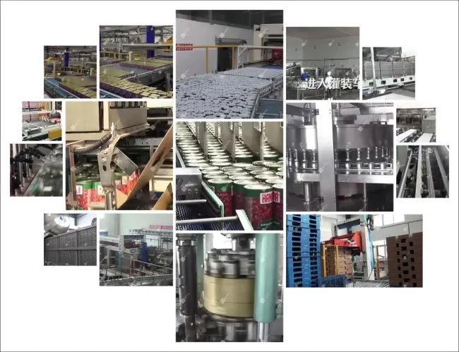 Automated tuna canning machine in operation