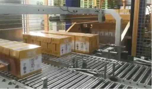 Automatic Gantry Stacker Can Double Channel Palletizer - Front View