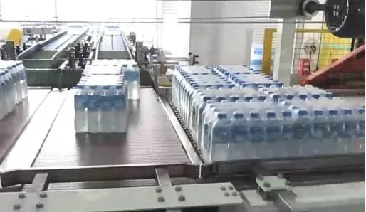 Automatic Gantry Stacker Can Double Channel Palletizer - Side View