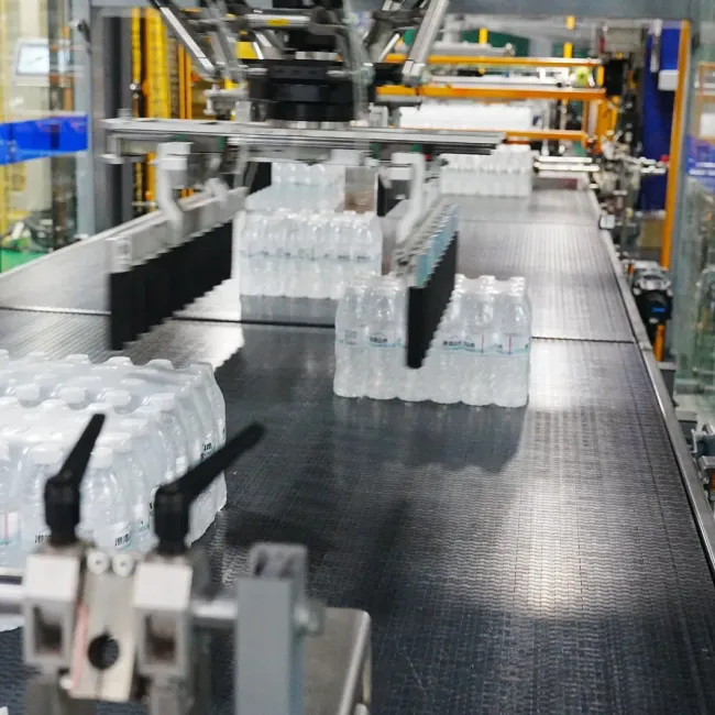 Palletizer full operation view