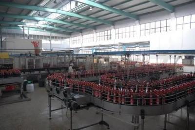 China Filling Condiment Seasoning Packaging Equipment Packing Machine for sale