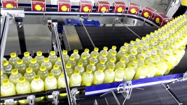 Quality Small Beverage Glass Bottle Juice Packaging Machine Line Double Grape 24000BPH for sale