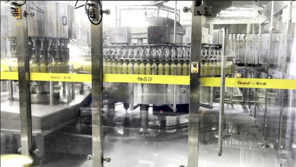 Quality Small Beverage Glass Bottle Juice Packaging Machine Line Double Grape 24000BPH for sale