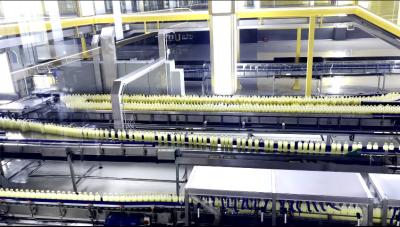China Small Beverage Glass Bottle Juice Packaging Machine Line Double Grape 24000BPH for sale