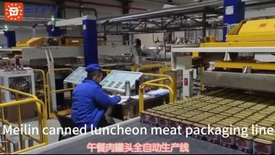 China Linha de produção de máquinas de embalagem de alimentos enlatados de carne Meilin Luncheon à venda