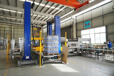 Chine OEM customized high speed fully automatic double channel gantry palletizer + paper separator for Russian customers à vendre