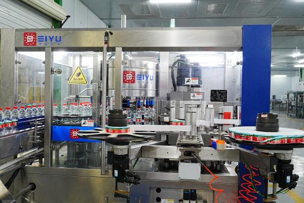 Quality 24000BPH 560ml Bottled Mineral Water Production Line Back-end Packaging Line for sale