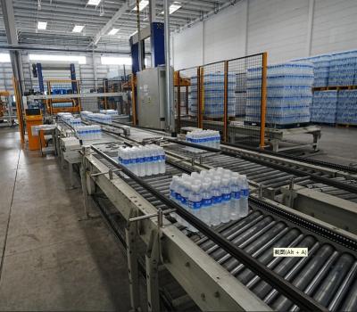 Cina Confezionatrice automatica per casse per la produzione di acqua in bottiglia - Soluzione di imballaggio ad alta efficienza in vendita