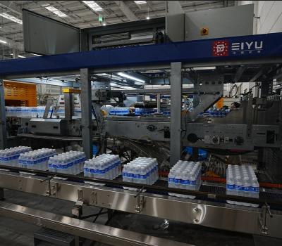 Cina Sistema di controllo intelligente per la confezione di bottiglie di acqua in bottiglia in vendita