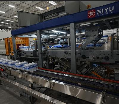 Cina Modello personalizzato di macchine di confezionamento per acqua in bottiglia in vendita