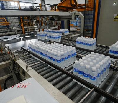 Cina Palletizzatore robot a doppia corsia per la linea di produzione di acqua in bottiglia da 42.000 BPH in vendita
