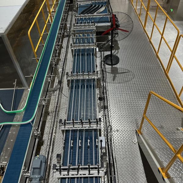 Quality Automatic Juice Drinking Water Packing Machine Loading And Unloading Cage System for sale