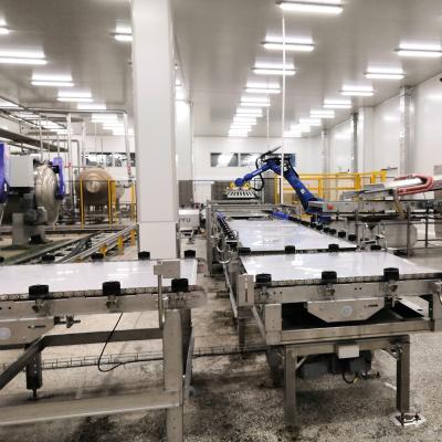 Quality Doypack Pouch Pet Food Packing Machine Production Line Fully Automatic for sale