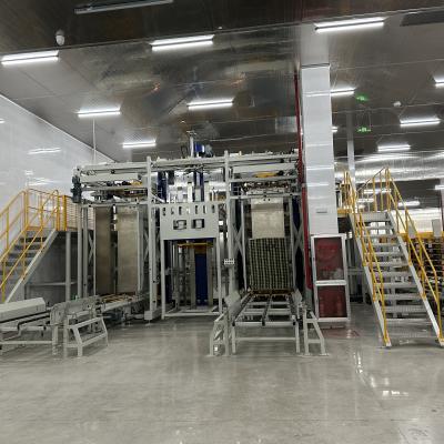 Cina 150L/Min Sistema automatizzato di palletizzazione palletizzatore per la linea di produzione di bevande in vendita