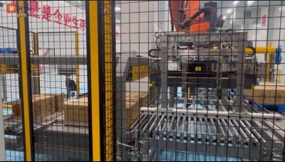 China Pneumatic Robot Case Beverage Palletizer Machine Programmable Customized for sale