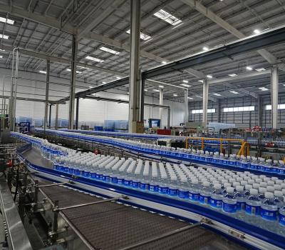 Cina Piattaforma di tampone dinamico per il trasporto di bottiglie per le linee di produzione di bevande idriche in vendita