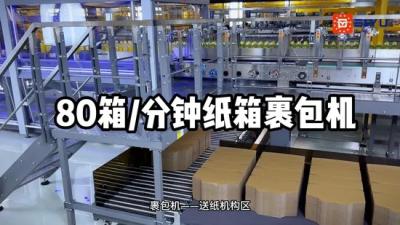 China 80 Cases Per Minute Glass Bottle Wrap Around Case Packer for Juice Production Line for sale