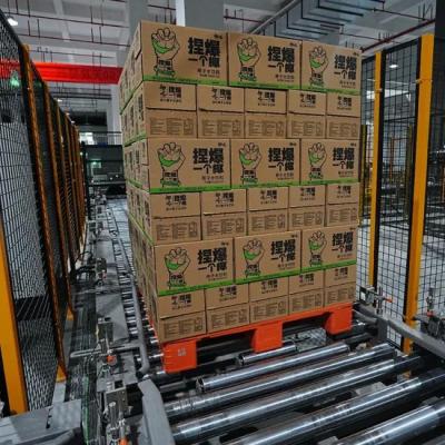 China Automatic Tray Bags Carton Case Bottle Jars Tin Can Box Gantry Palletizer for sale