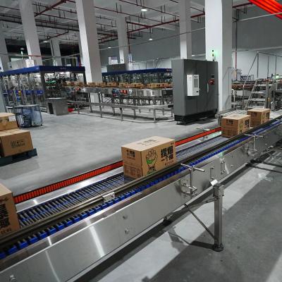 China Automatic Gantry Stacker Can Double Channel Palletizer for sale