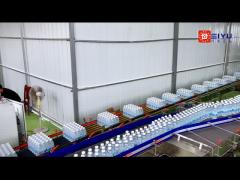 Automatisch robotisch scheidingsbord Gantry Palletizer Machine System