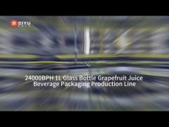 Kleine flessen glas drankjes sap verpakkingsmachine Lijn Dubbele druiven 24000BPH