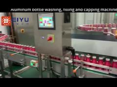 500 ml koolzuurhoudende drank flessen vul- en dopmachine hoge snelheid
